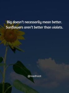 100+ Sunflower Quotes, Sayings and Captions To Make Your Day Brighter