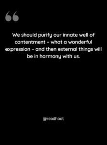 95+ Contentment Quotes To Embrace The Present And Find Satisfaction