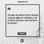 50+ Cicero Quotes That Still Hold True Today